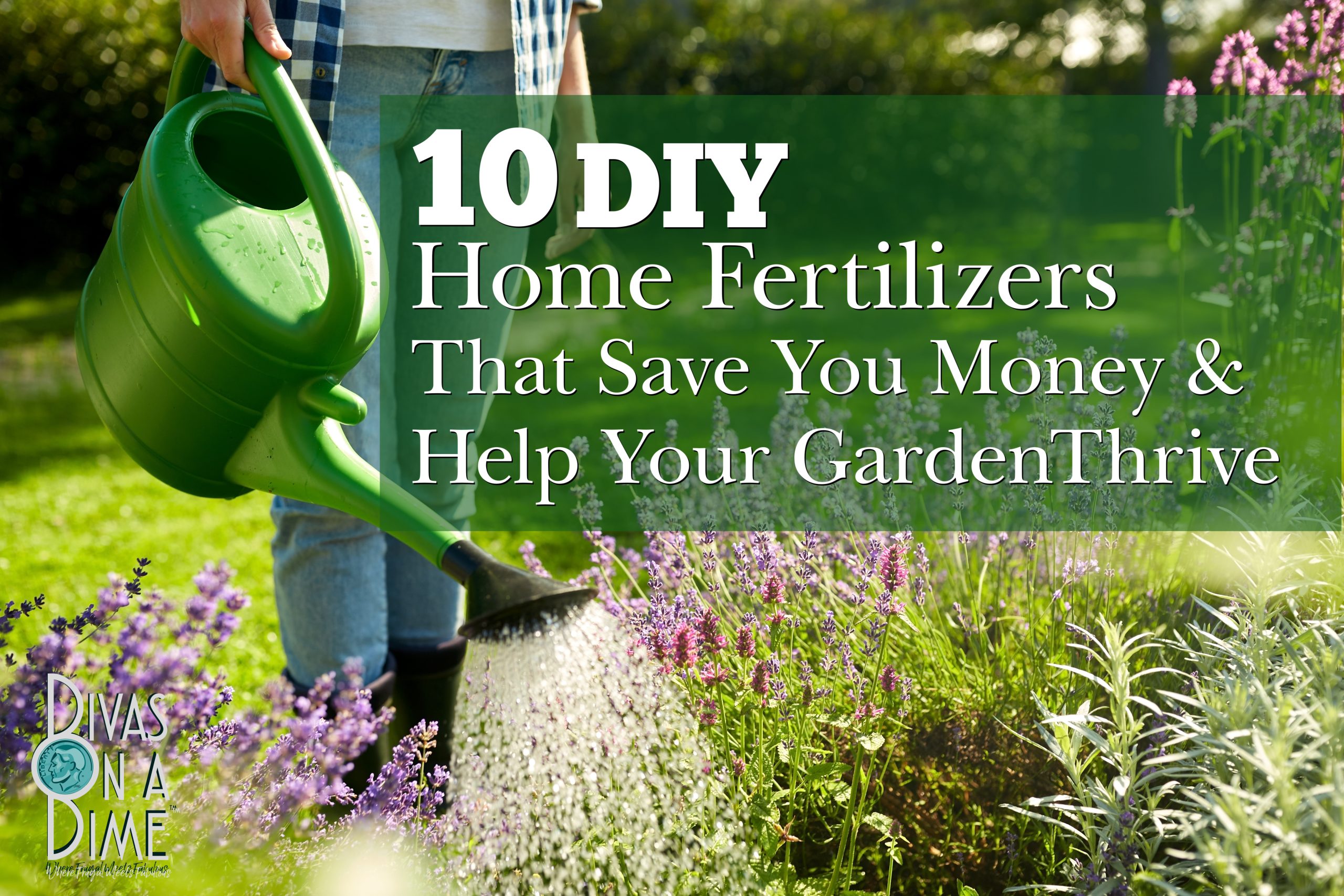 Budget-Friendly, Eco-Friendly DIY Fertilizers You Can Make at Home ...